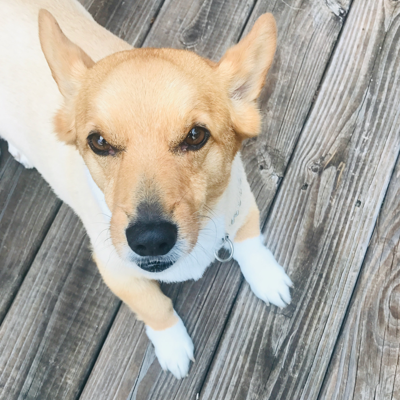 Circle of Life – Notes from Dad