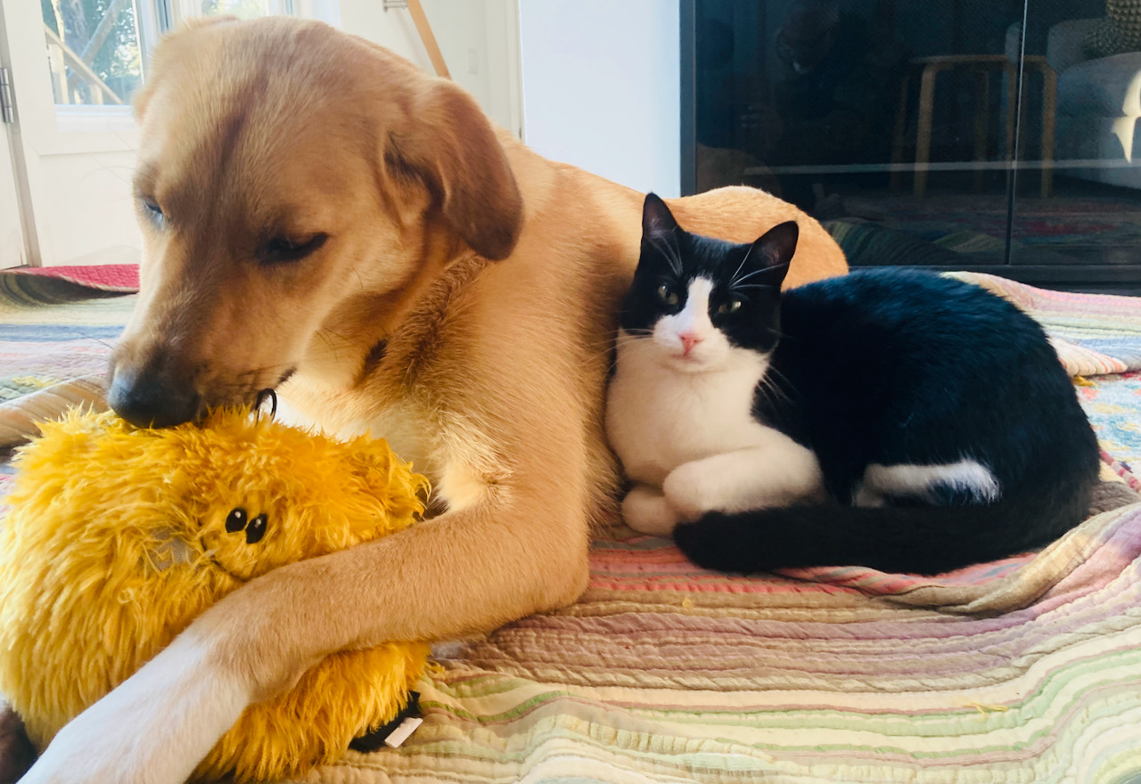 Gotcha – Notes from Dad