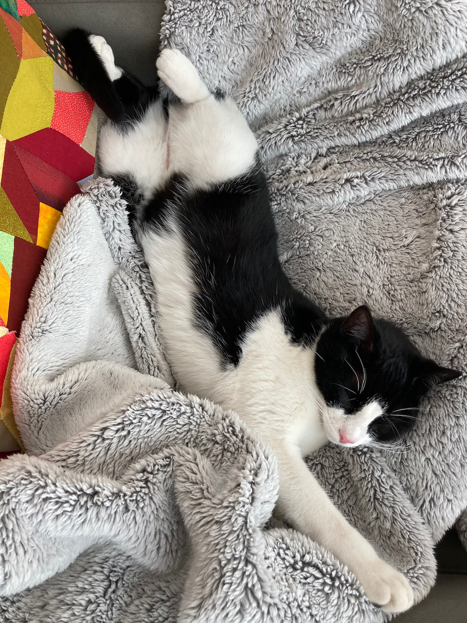 Gotcha – Notes from Dad